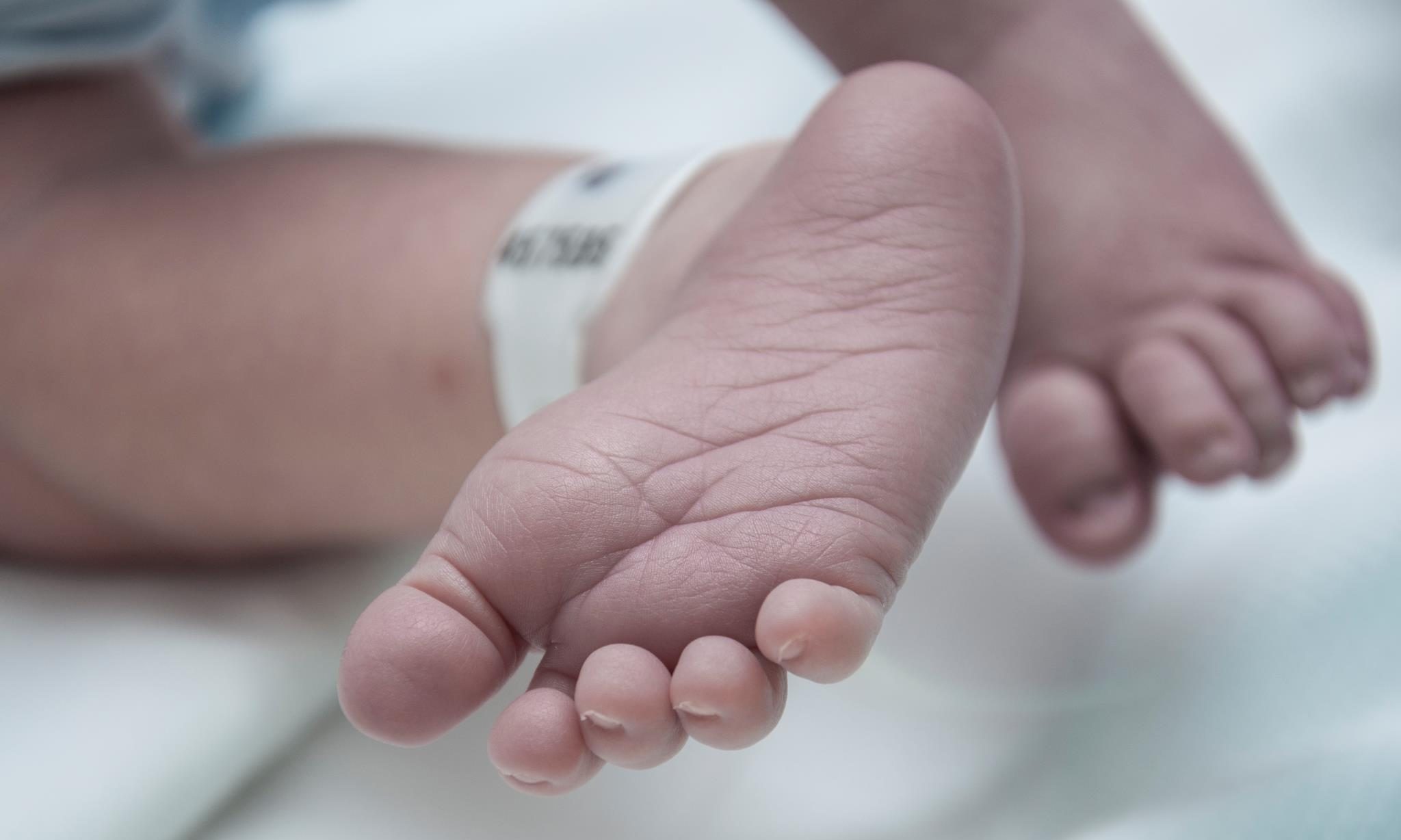 Programa de Pesquisa Neonatal – Qué es? – FEI